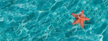 i4F's Cutting-Edge Digital Printing Technologies | I4F